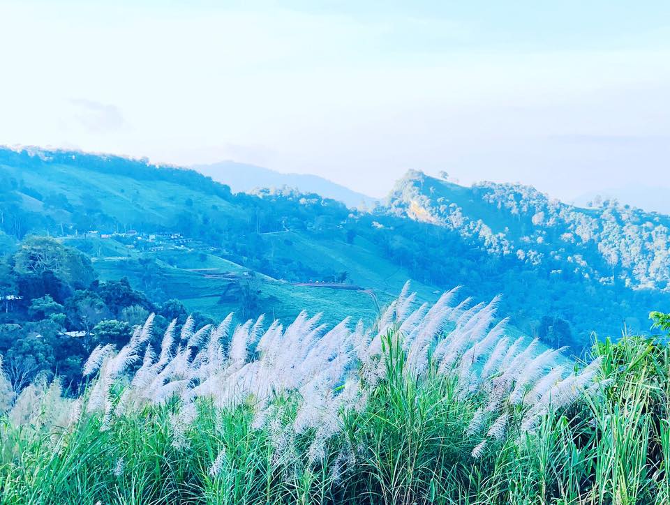 Hà Nội và tôi - Mỗi ngày 1 cuốn sách